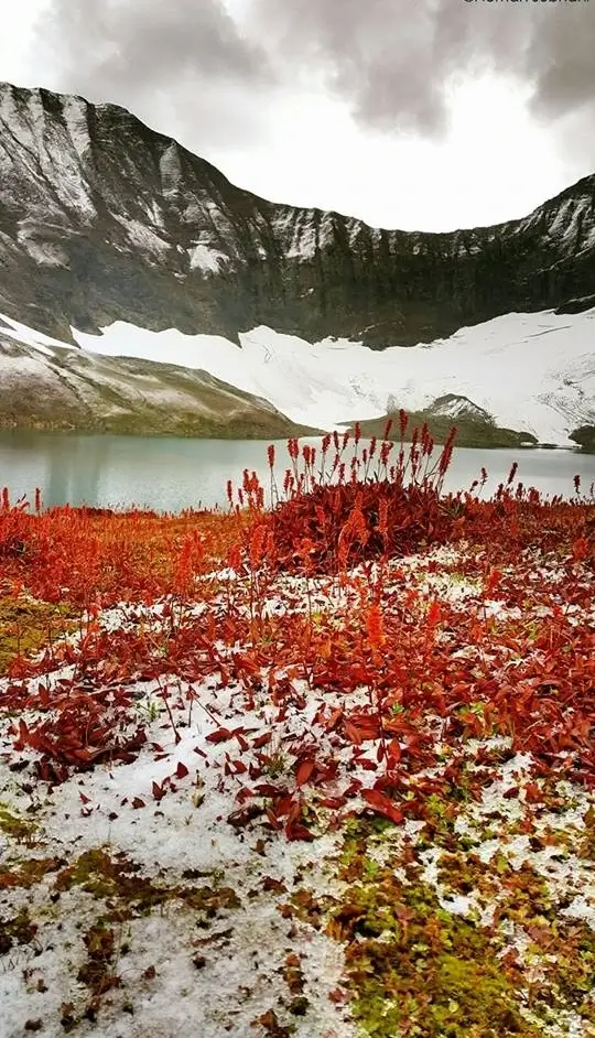 8 Days Kashmir Trip with Taobatt and Baboon Valley and Ratti gali ...